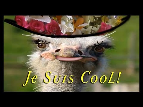 Je Suis Cool - YouTube
