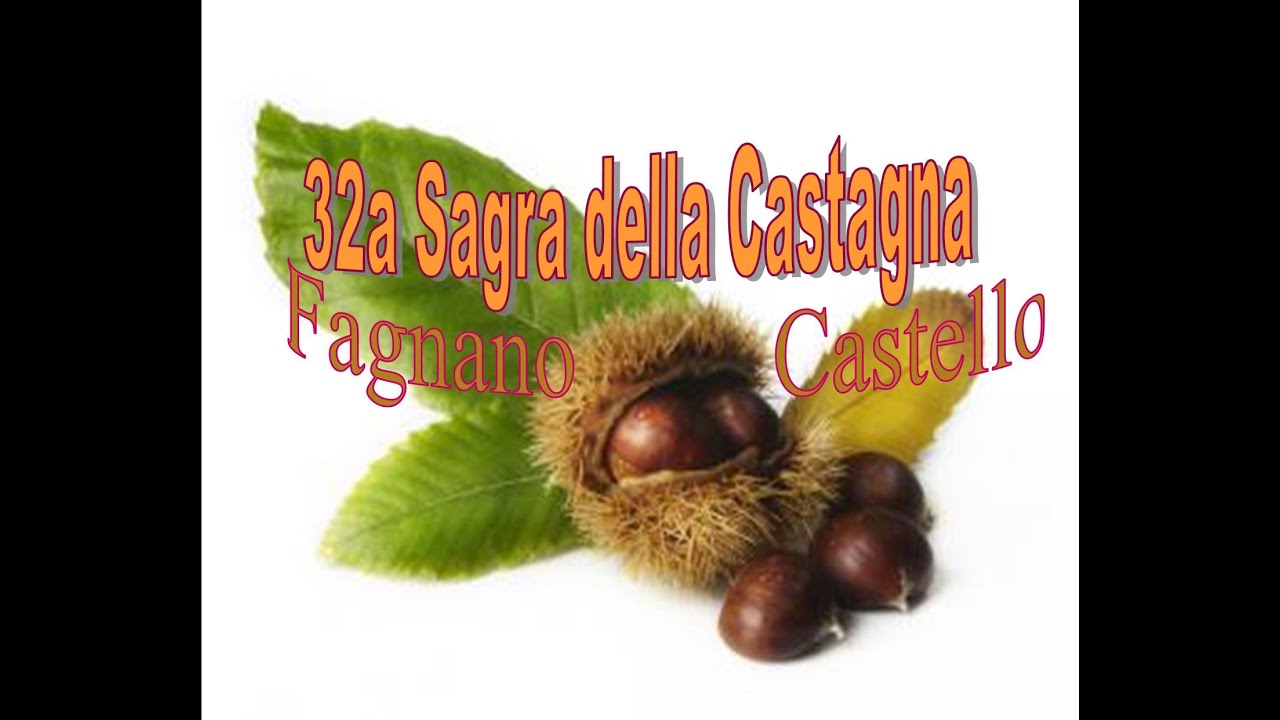 32a Sagra della Castagna Fagnano Castello - YouTube