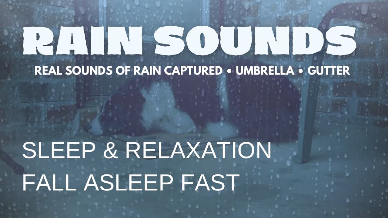 RAIN Sounds for Sleeping and Relaxing | Umbrella and Rain Gutter sounds ...