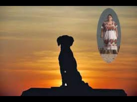 El Perro y Kaskabal el espíritu maligno - YouTube