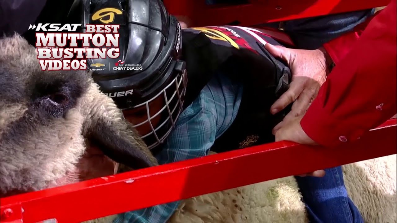 Last nights of Mutton Busting at the San Antonio Stock Show & Rodeo ...