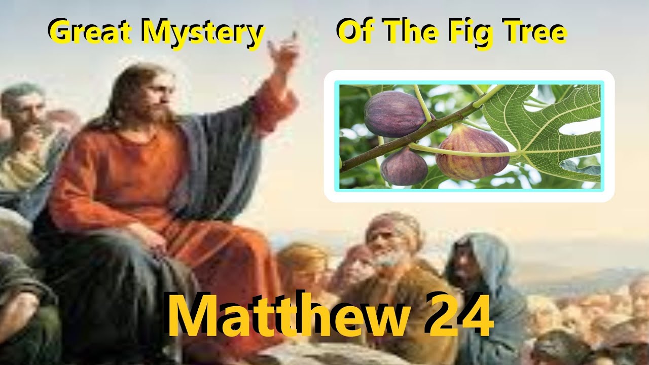 Matthew 24 Mystery Parable Of The Fig Tree End Times Prophecy Rapture ...
