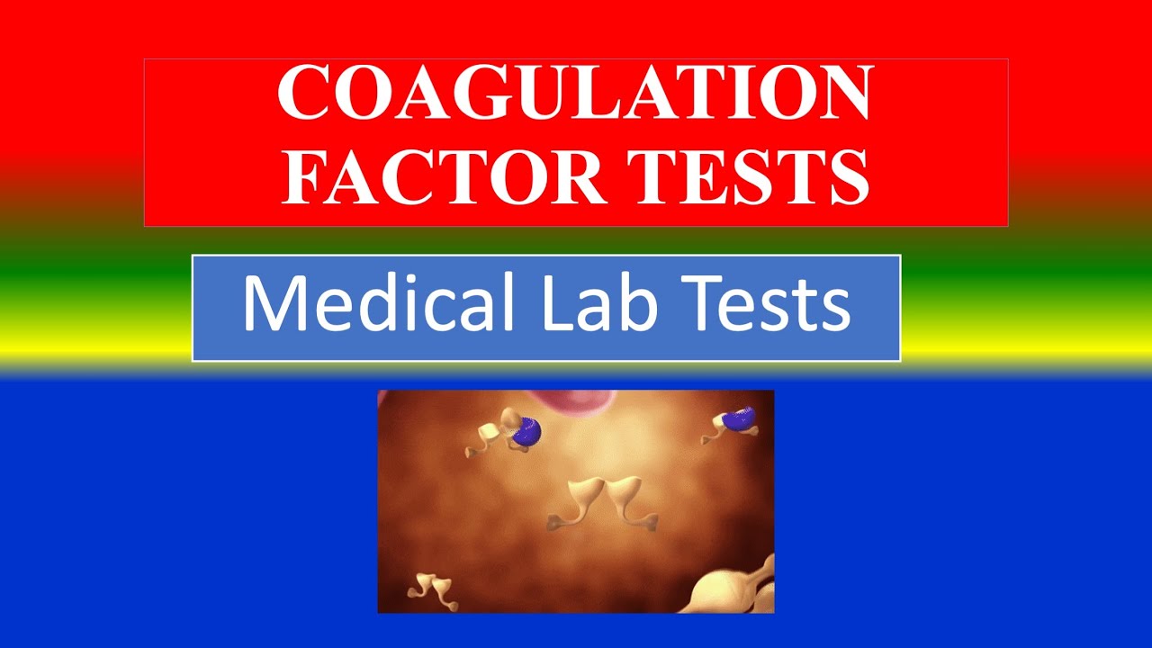 COAGULATION FACTOR TESTS - Medical Lab Tests - What is ? , Uses , Need ...