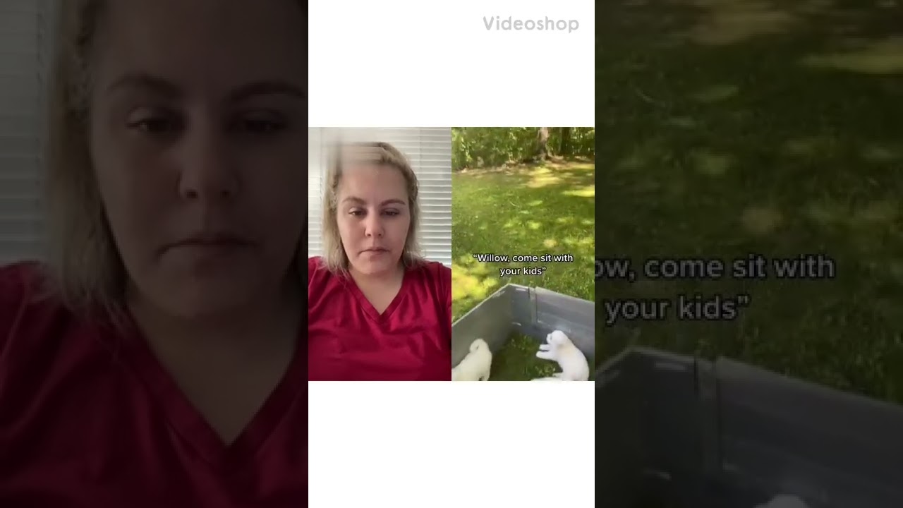 Oh No I Can t Do That YouTube oh-no-i-can-t-do-that-youtube