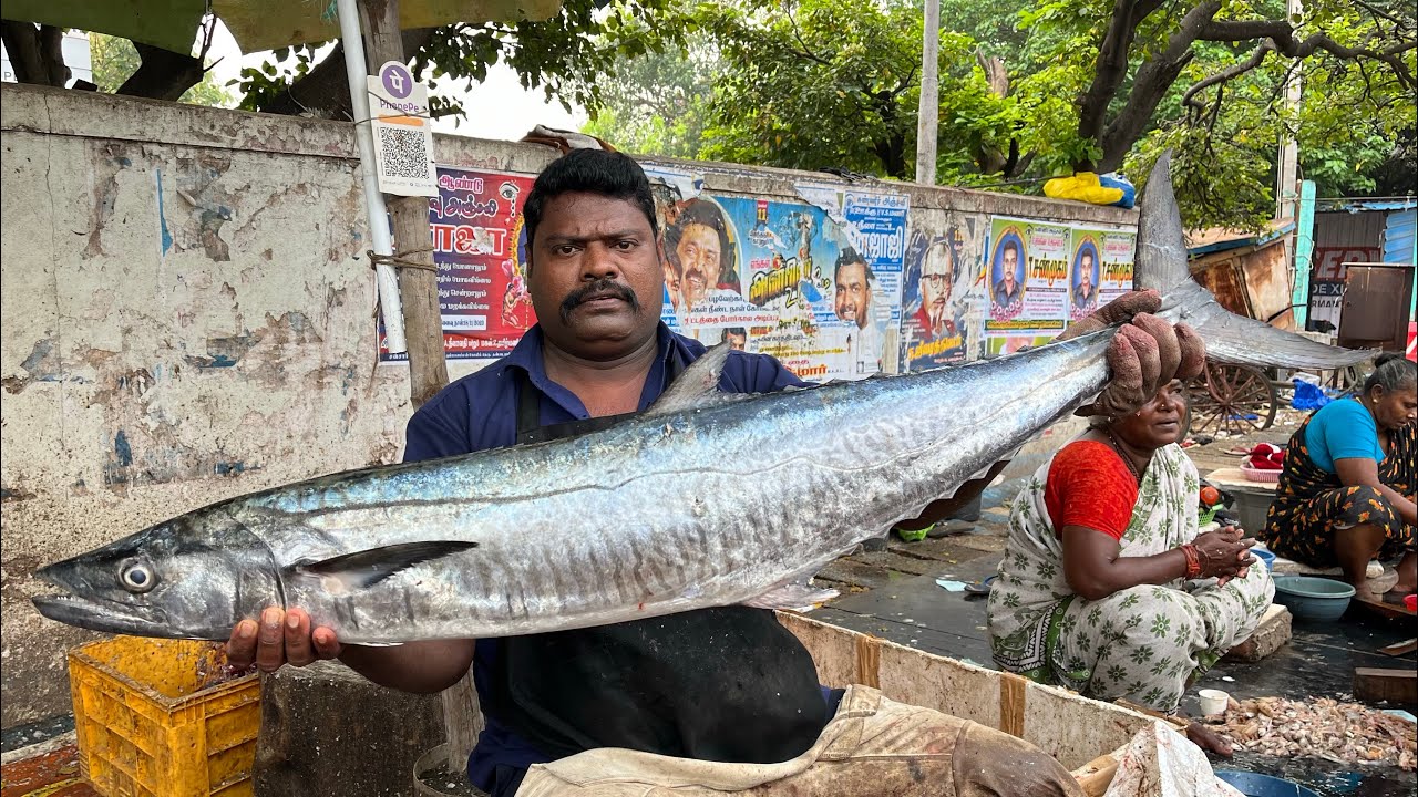 VANJARAM FISH AMAZING CUTTING BY SPEED SELVAM ⚔️🔥 - YouTube