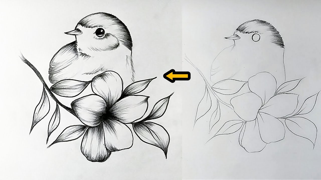 how to draw a bird with flower || Bird and flower drawing - YouTube