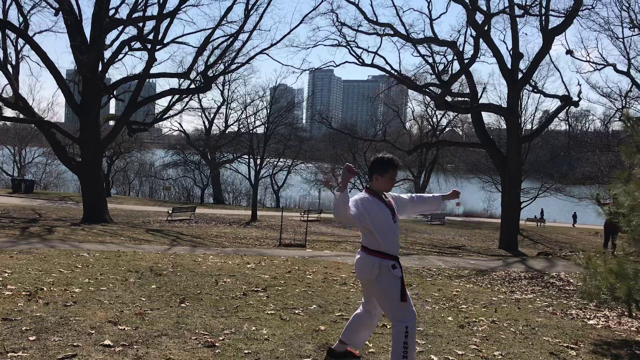 How to Perform Koryo Poomsae (1st Black Belt Form) - YouTube