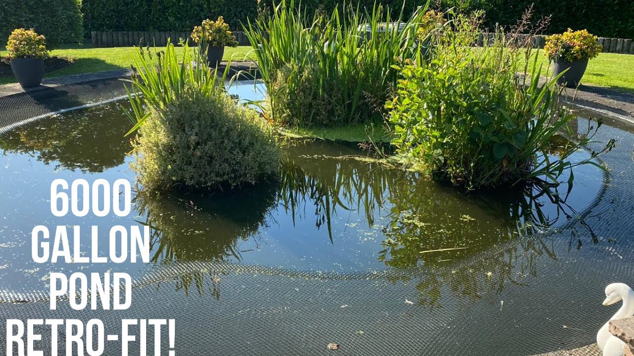 Large Preformed Ponds 1 500 Gallons