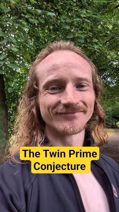 The Twin Prime Conjecture #math #hilbertsproblems - YouTube