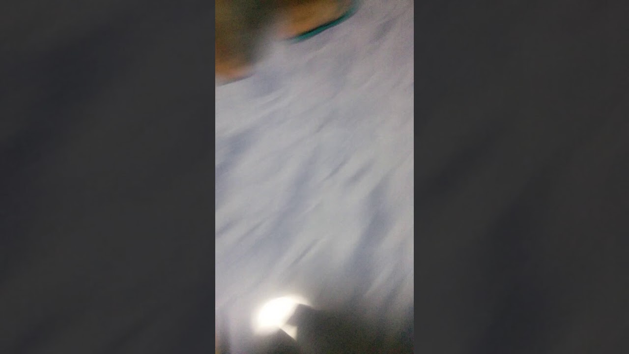 This dog looks like oreo the fgteev dog - YouTube