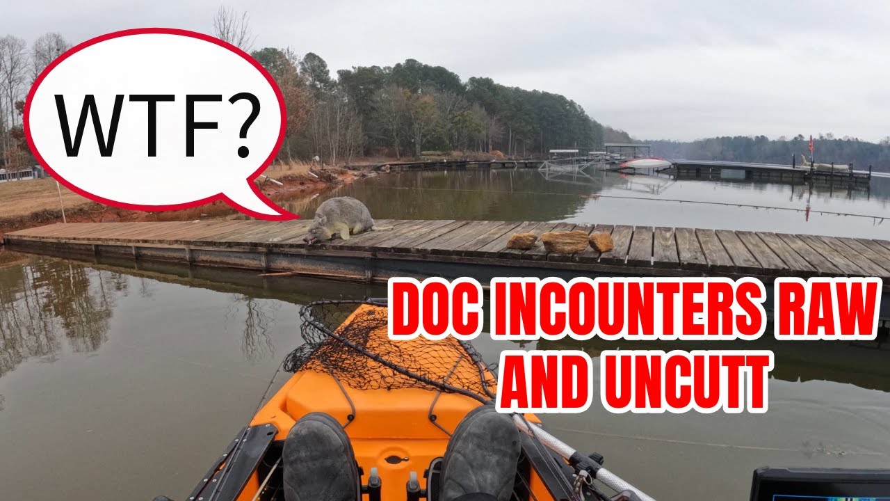 Got attacked by a Dock Monster on Lake Hartwell!!!!!! February Dock ...