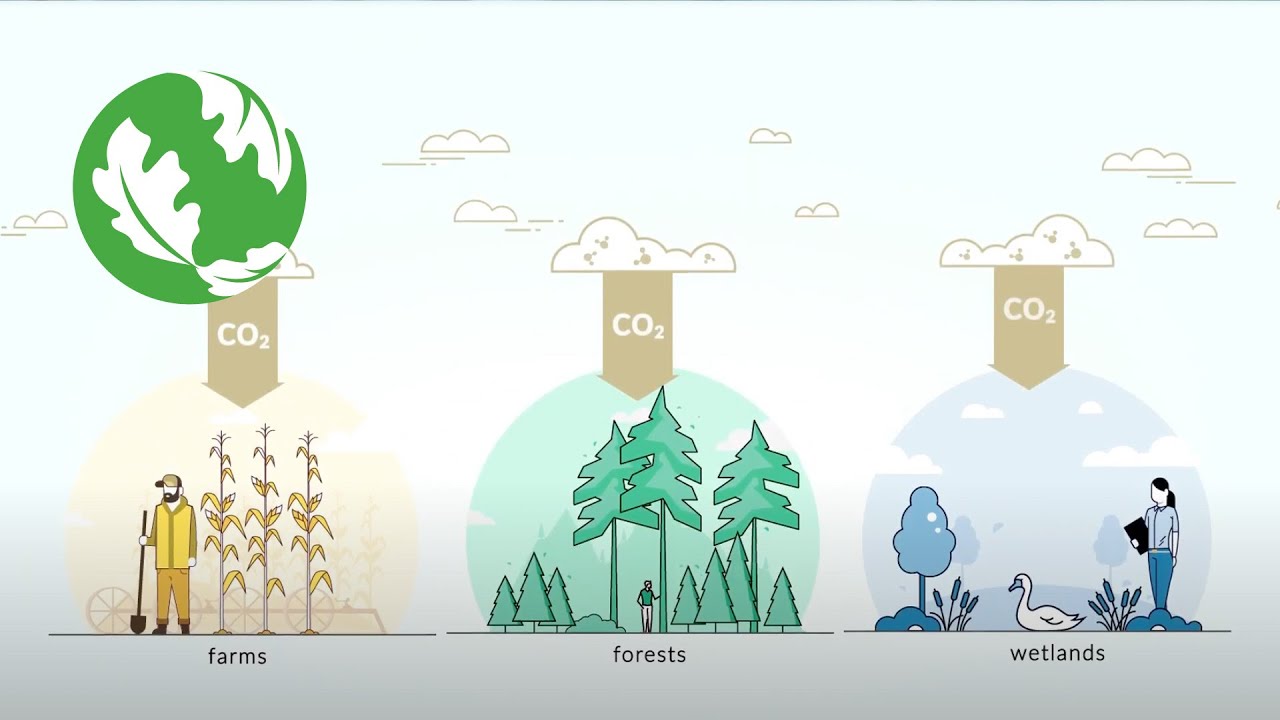 Natural Collaboration - YouTube