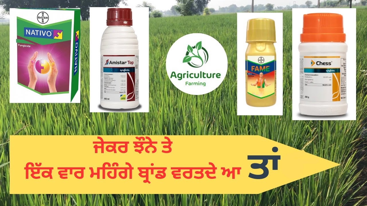 Nativo fungicide | amistar top | chees insecticide | fame insecticide ...
