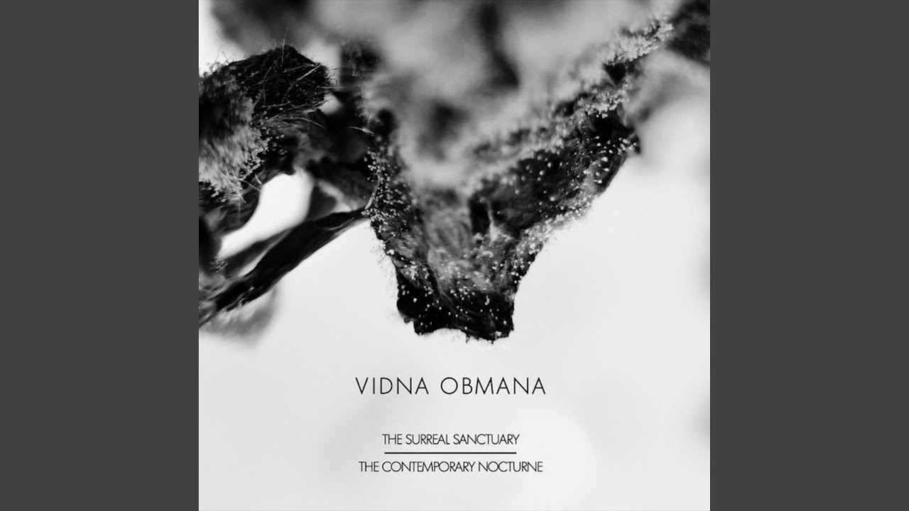 Infinity (feat. Joris De Backer) - YouTube