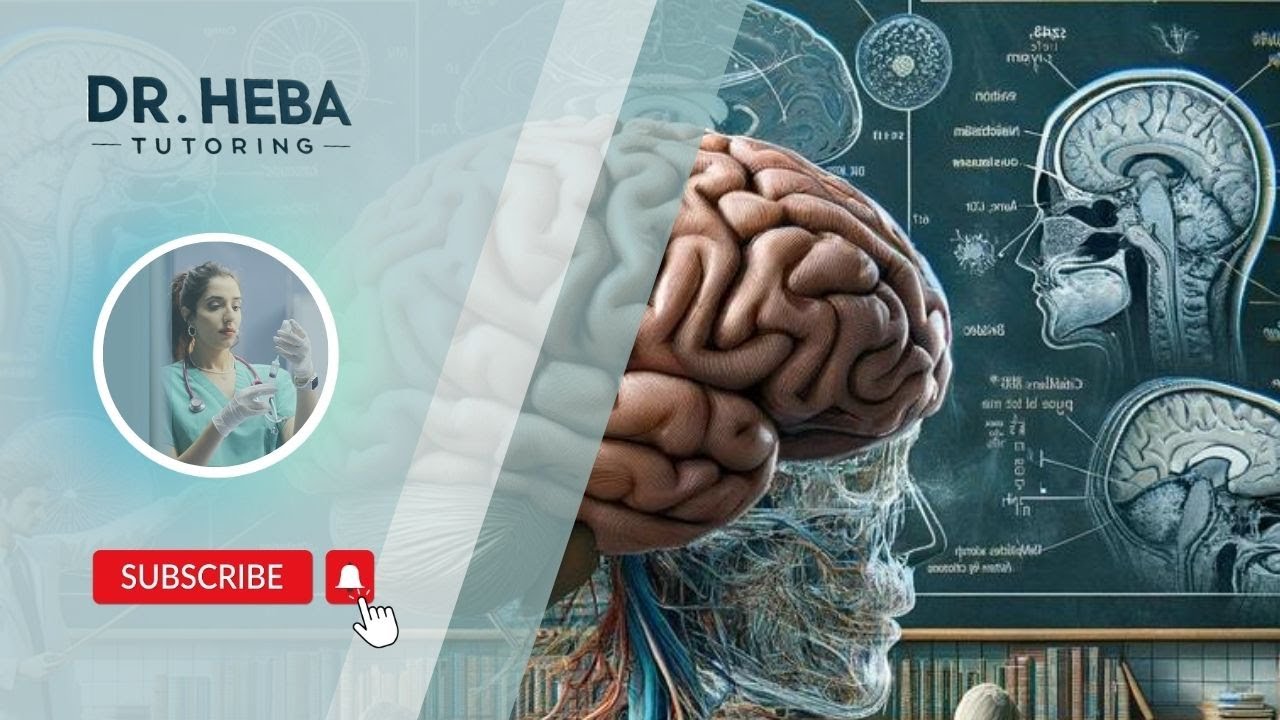 USMLE Step 1 || Nervous System (Anatomy and Physiology) Lecture 2 ...