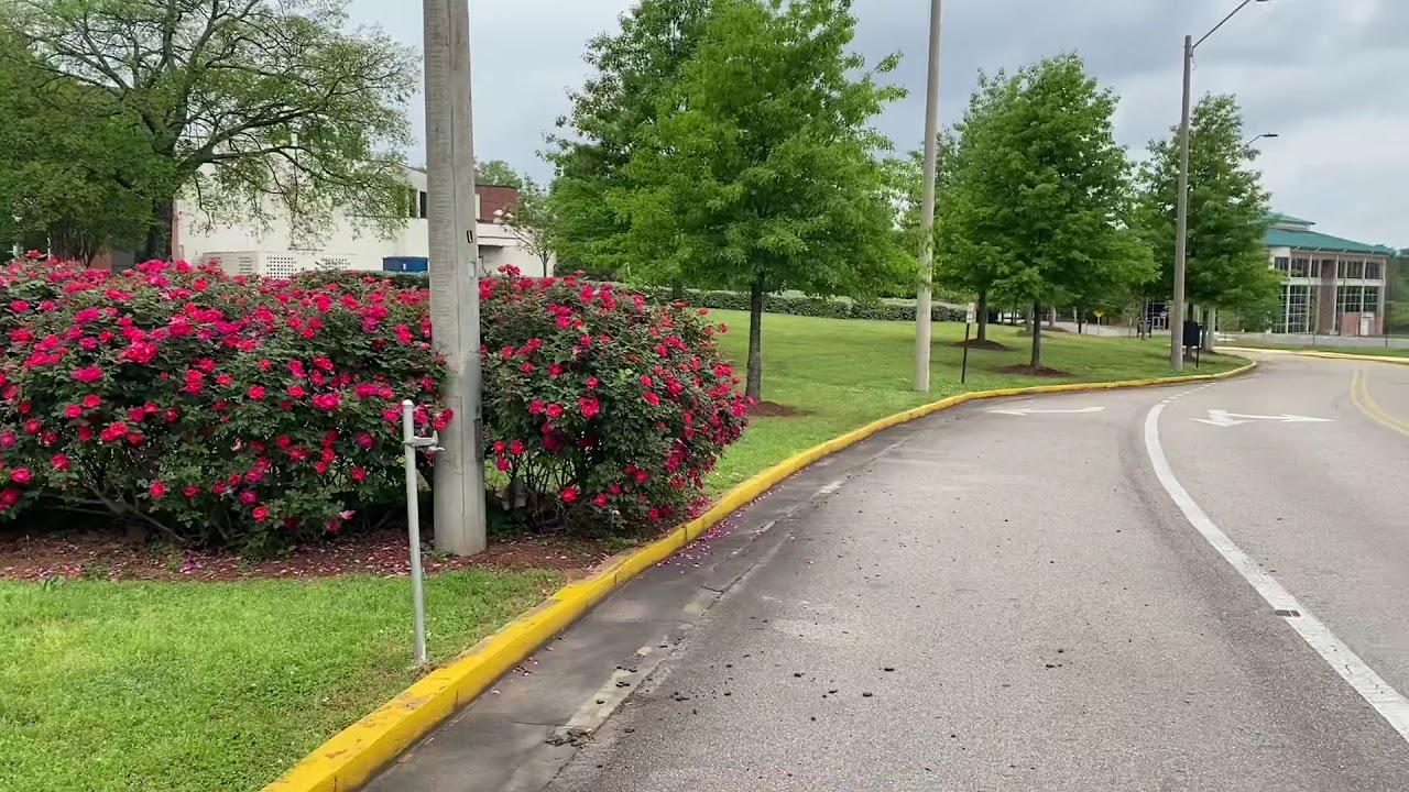 Lawson State Community College Virtual Tour - YouTube