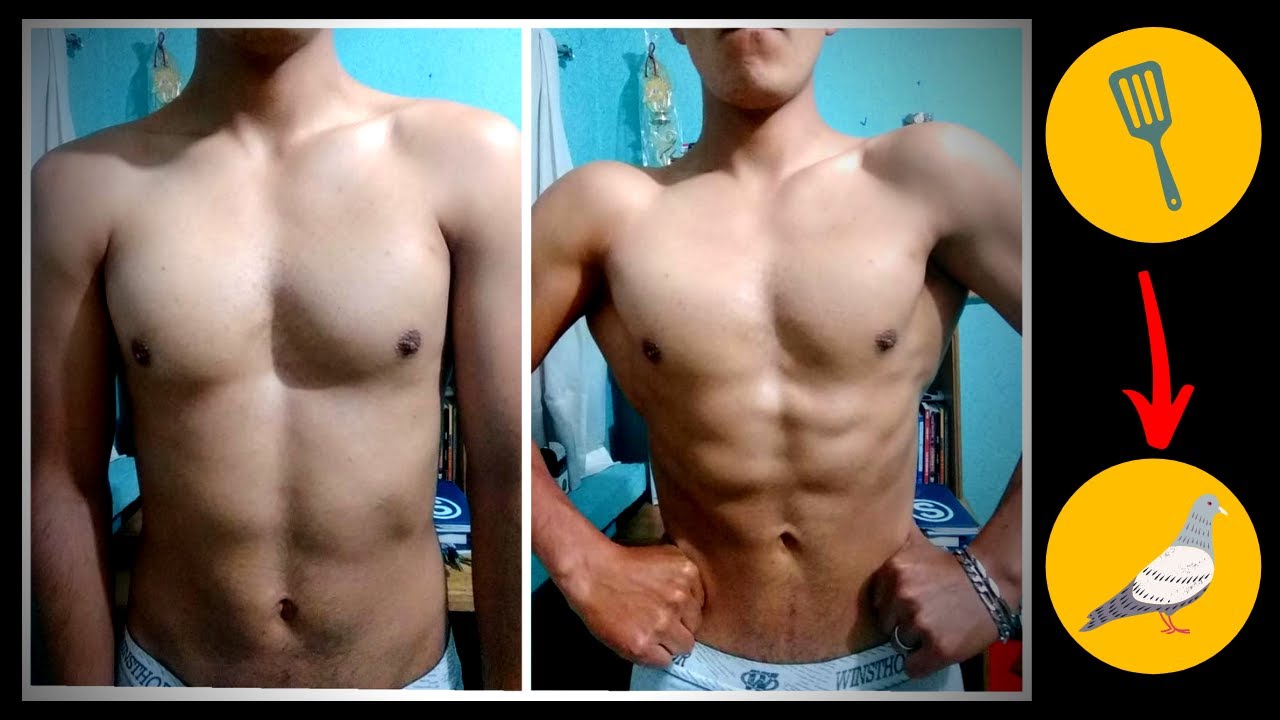 🦜DE PECHO DE ESPÁTULA A PECHO DE PALOMA | Cómo Mejorar Tu Expansión ...