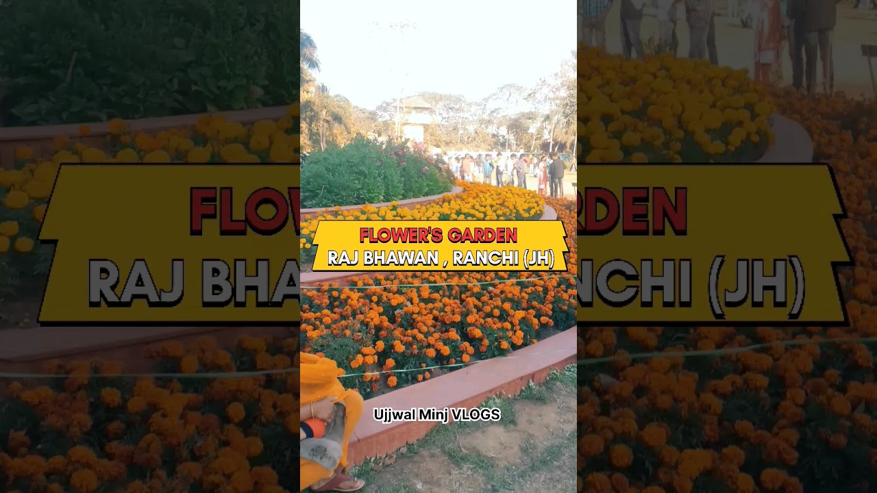 💐🌺FLOWER GARDEN🏵️🌻 RAJ BHAWAN #ranchi_jharkhand #shorts #flowers - YouTube