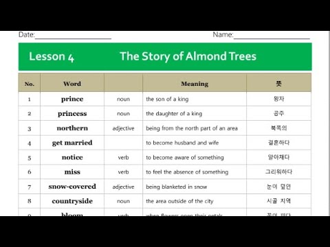 Insight Link 1 Lesson 4 Words Read Aloud - YouTube