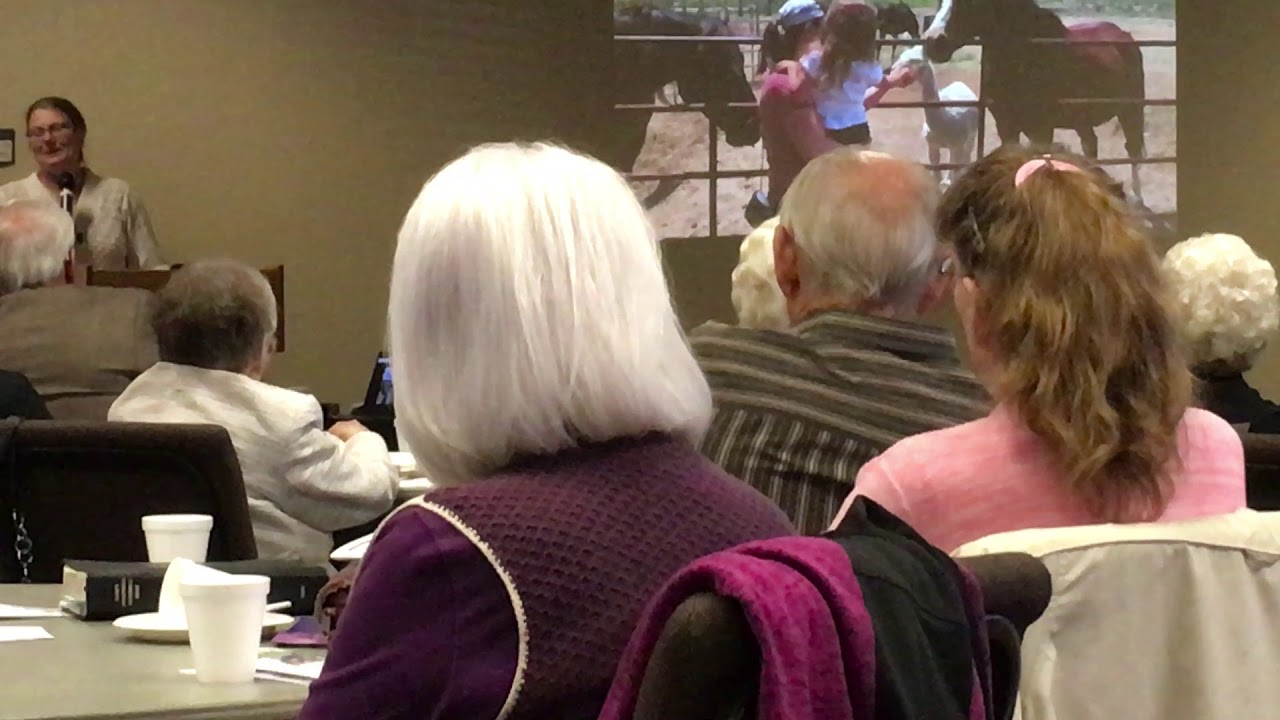 The Rocking Tree Farm - YouTube