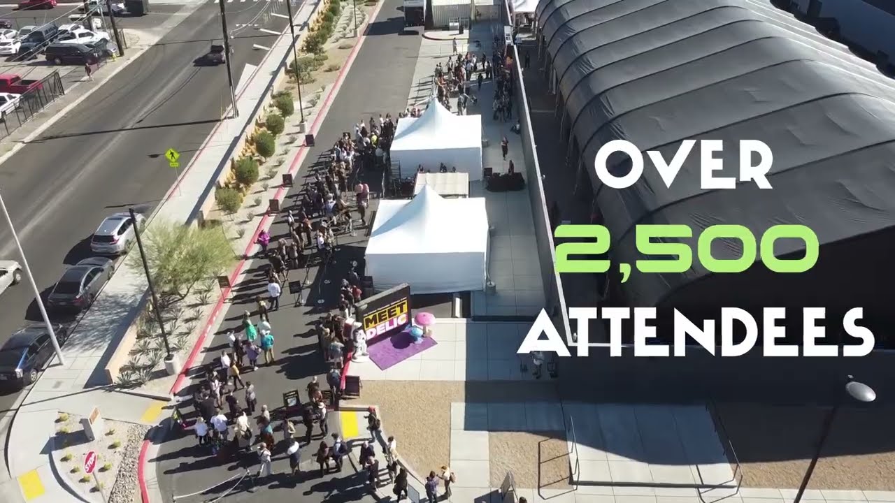 Meet Delic 2021 - YouTube