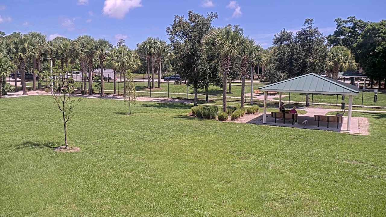 Cinquez Dog Park - Center Cam - YouTube
