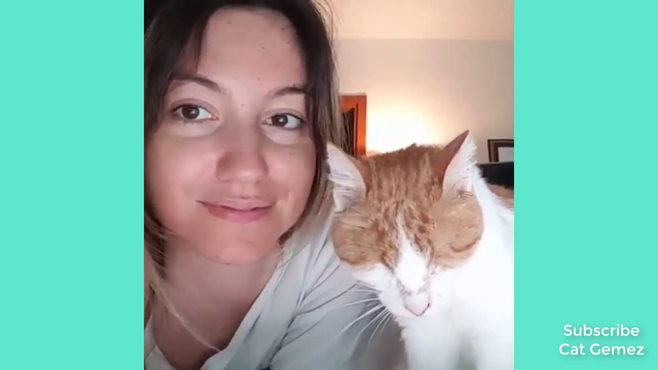 It's TIME for SUPER LAUGH! - Best FUNNY CAT Compilation Videos - YouTube