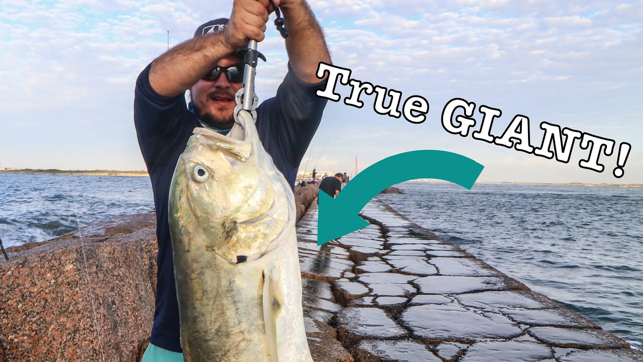 biggest fish of my life from the rocks (LONG BATTLE) - YouTube