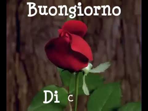 auguri figlia mia