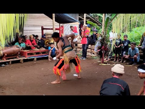 Tak Kira Cupu Ternyata Suhu ‼️Eka Budi Kencana Sinar Samudra