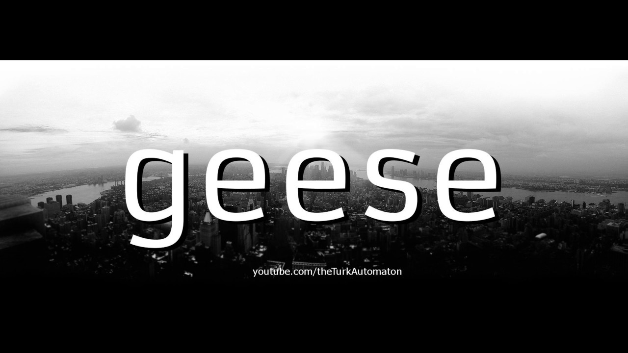 How to Pronounce geese in German - YouTube