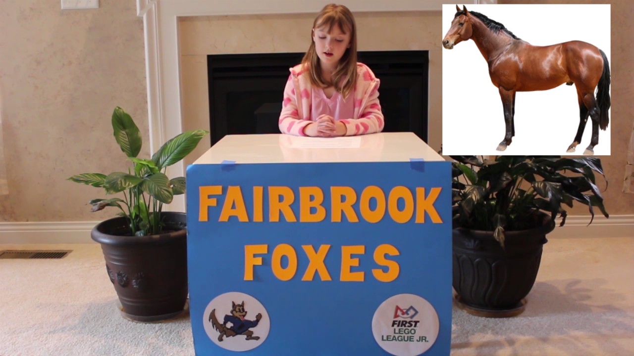 2016-2017 Fairbrook Foxes Jr. Lego Report - YouTube