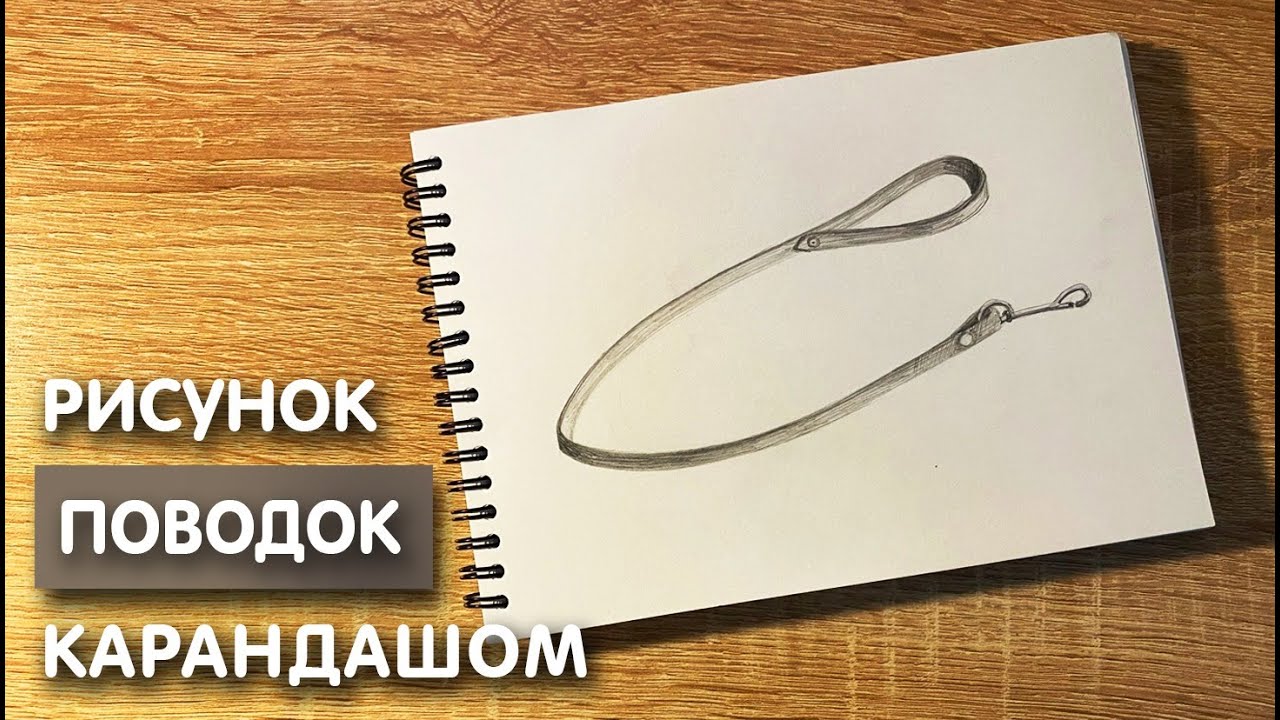 Как нарисовать поводок карандашом Рисунок для начинающих поэтапно