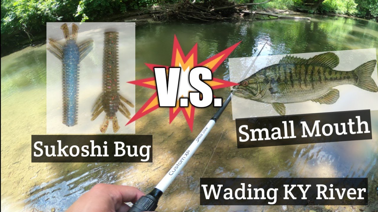 Sukoshi Bug V.S. Smallmouth, Wading KY river - YouTube