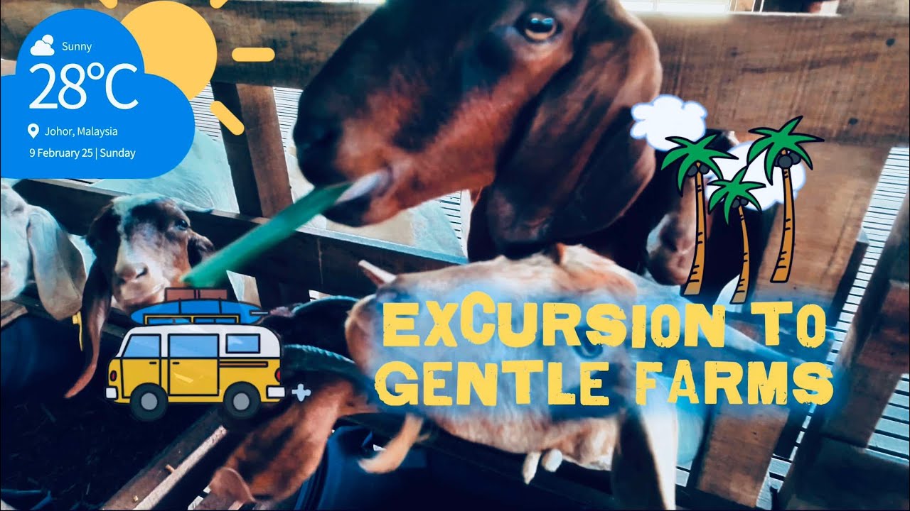 Gentle Farms Revisit | Mr Tan KL & JB Friends | Alex PeToker | Animal ...
