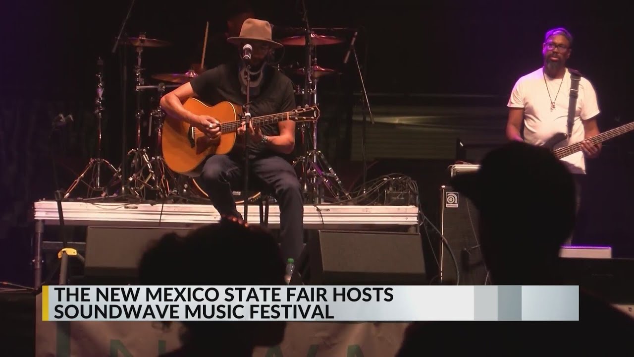 Soundwave Music Festival at the State Fair - YouTube