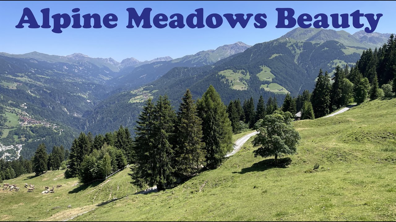 Escape to the breathtaking beauty of Alpine Meadows. #alps # ...