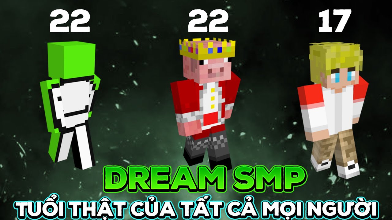 Tuổi Thật Của Tất Cả Thành Viên DreamSMP - Channy minecraft - YouTube