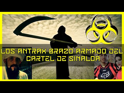 Los Antrax Brazo Armado del Cartel de Sinaloa Phoenix antrax - YouTube