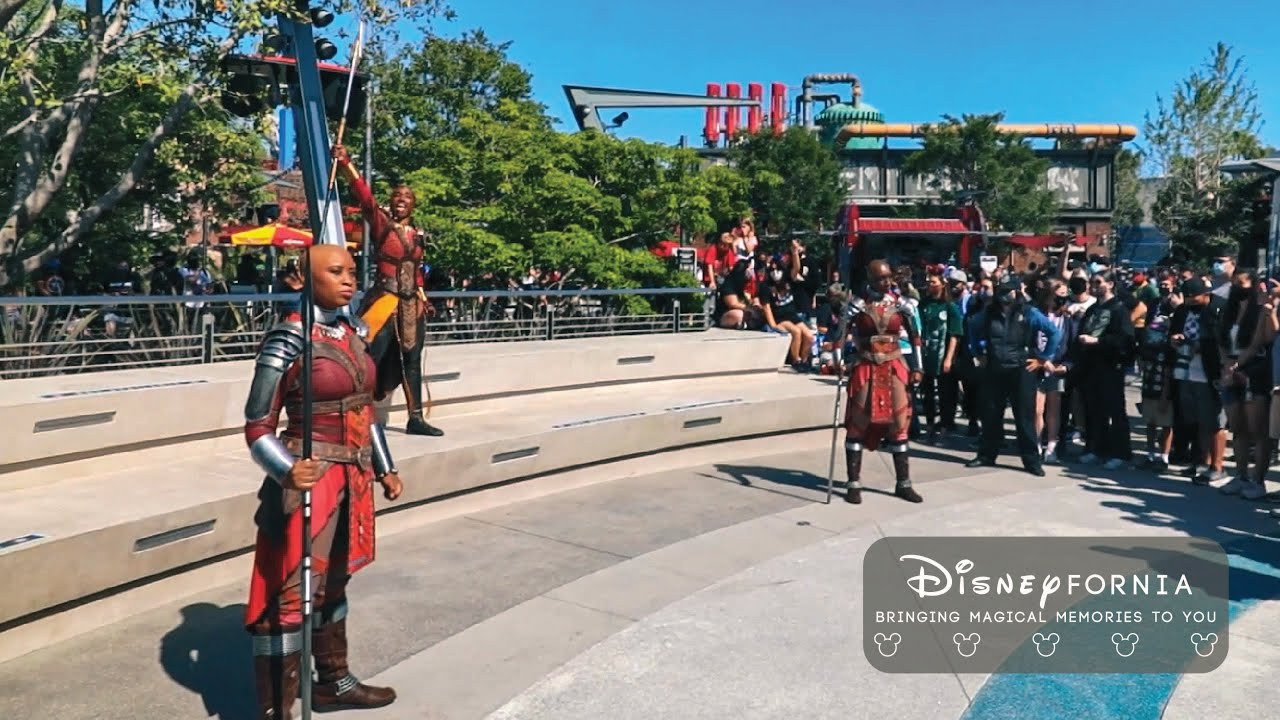 Warriors of Wakanda; The Disciplines of the Dora Milaje | Avengers ...