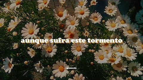 la playlist perfecta que buscabas - YouTube