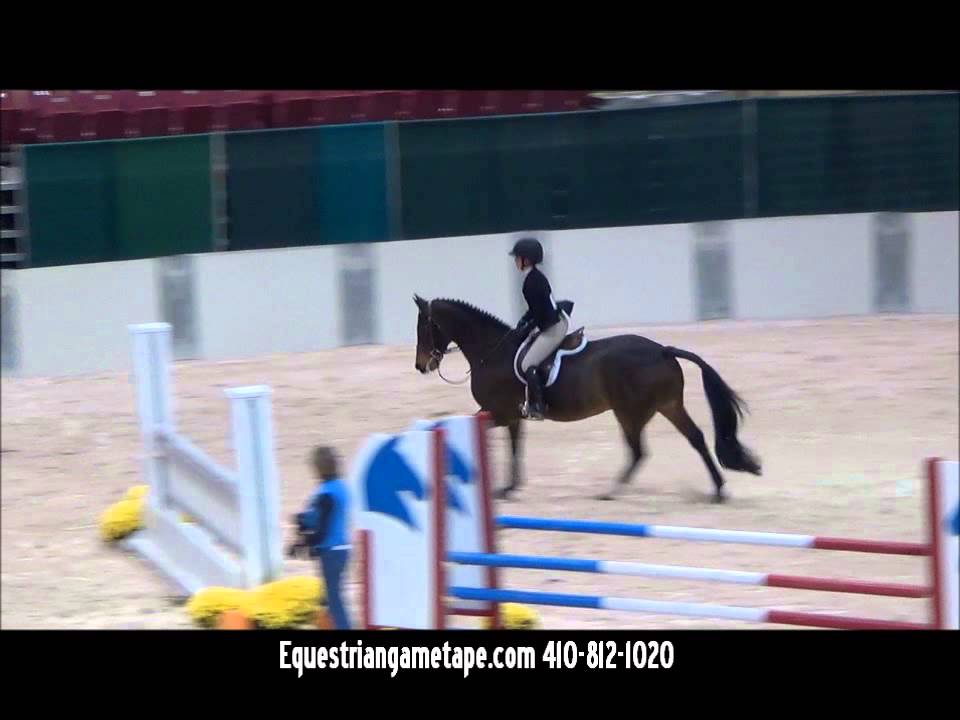 Billy Baroo at Mid Atlantic Equitation Festival 2013 Maclay - YouTube