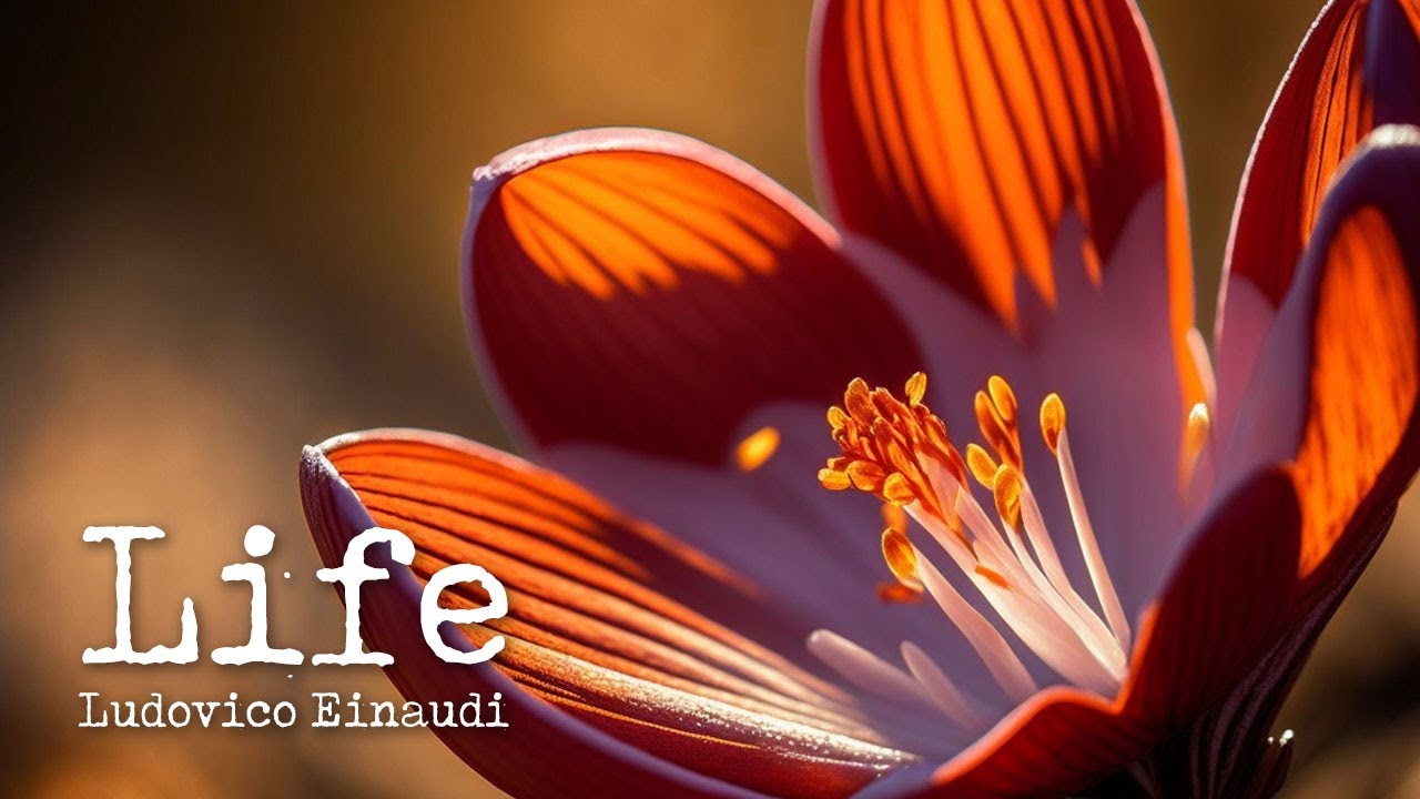 Ludovico Einaudi (In a Time Lapse ) — “Life” [Extended] (45 min.) - YouTube