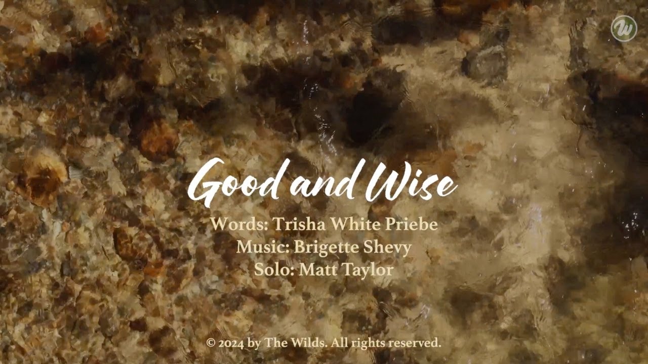 "Good and Wise" - The Wilds Official Lyric Video - YouTube
