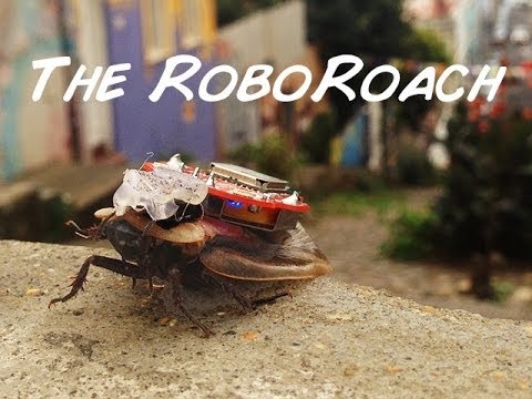 RoboRoach Surgery Instructions