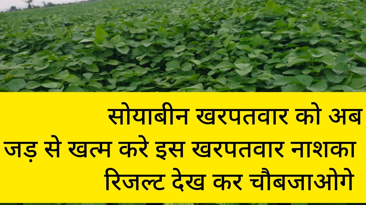 soyabean kharpatwar nashak upl chenturion best result | FMC galaxy # ...