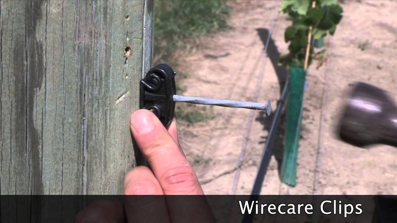 Wirecare Vineyard Clips - YouTube