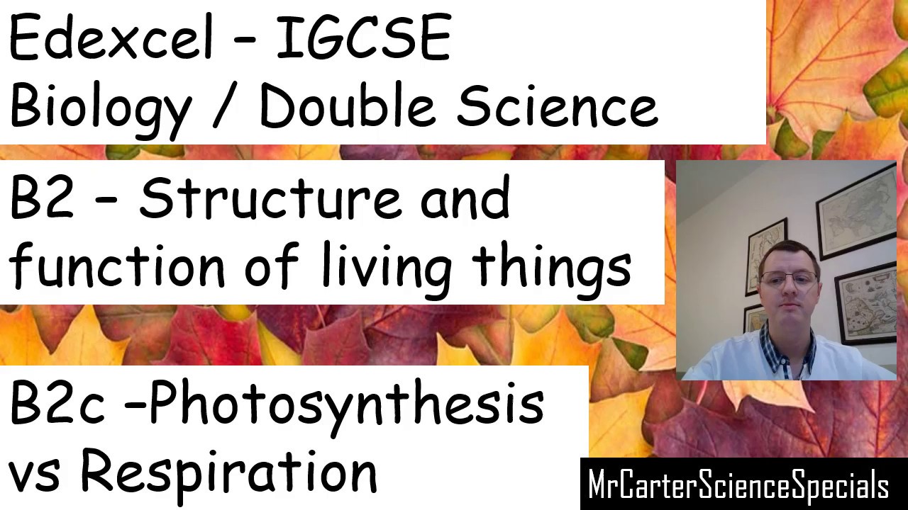 Photosynthesis Vs Respiration - Edexcel International GCSE Biology ...