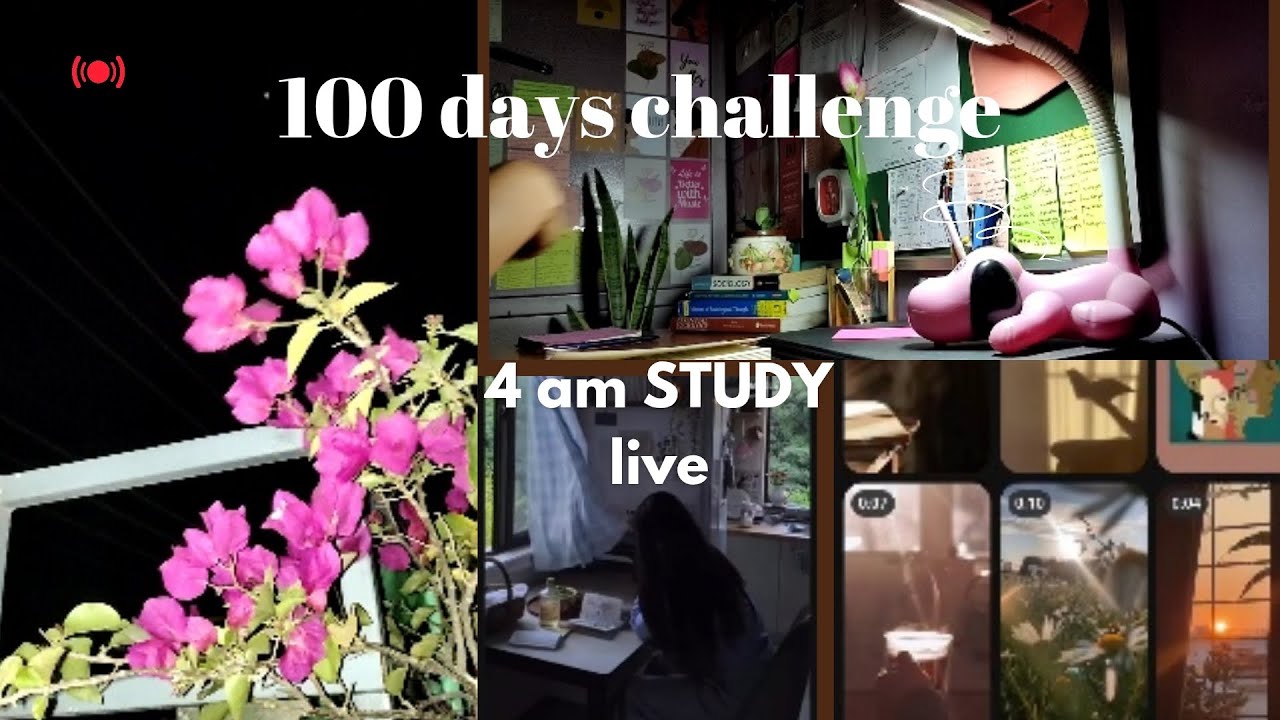 100 DAYS MORNING STUDY CHALLENGE FOR UPCOMING EXAMS| 4 AM CLUB ...