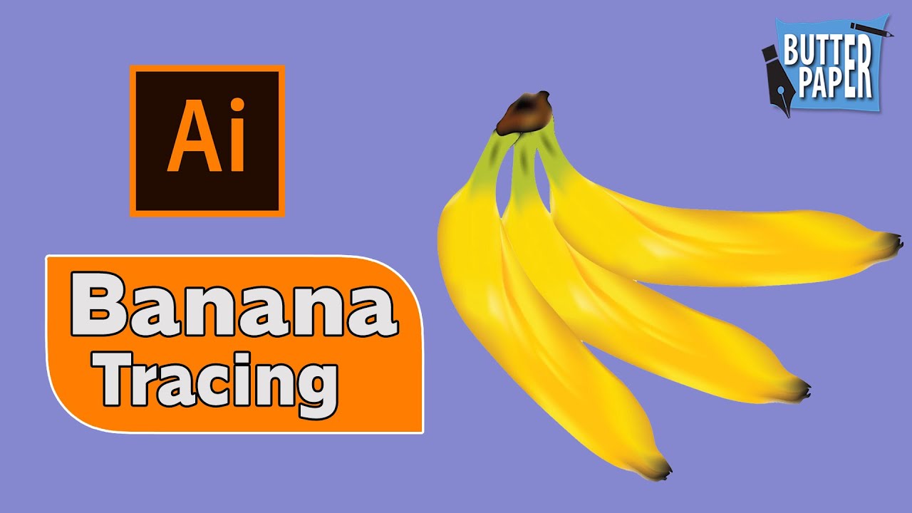 Illustrator tracing of a Banana | Tracing Video | Butter paper - YouTube